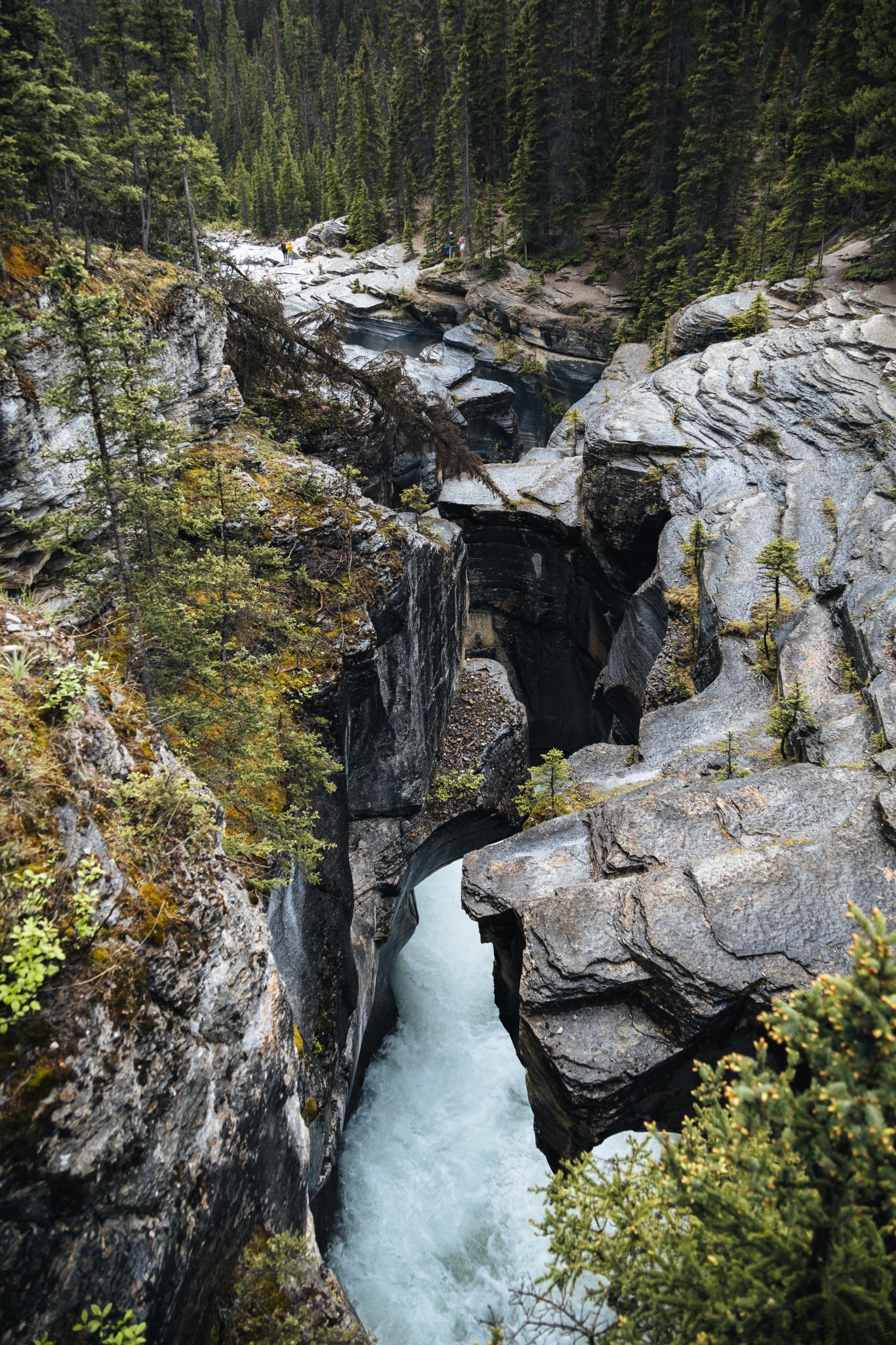 De mooiste stops op de Icefields Parkway – Reis inspiraties