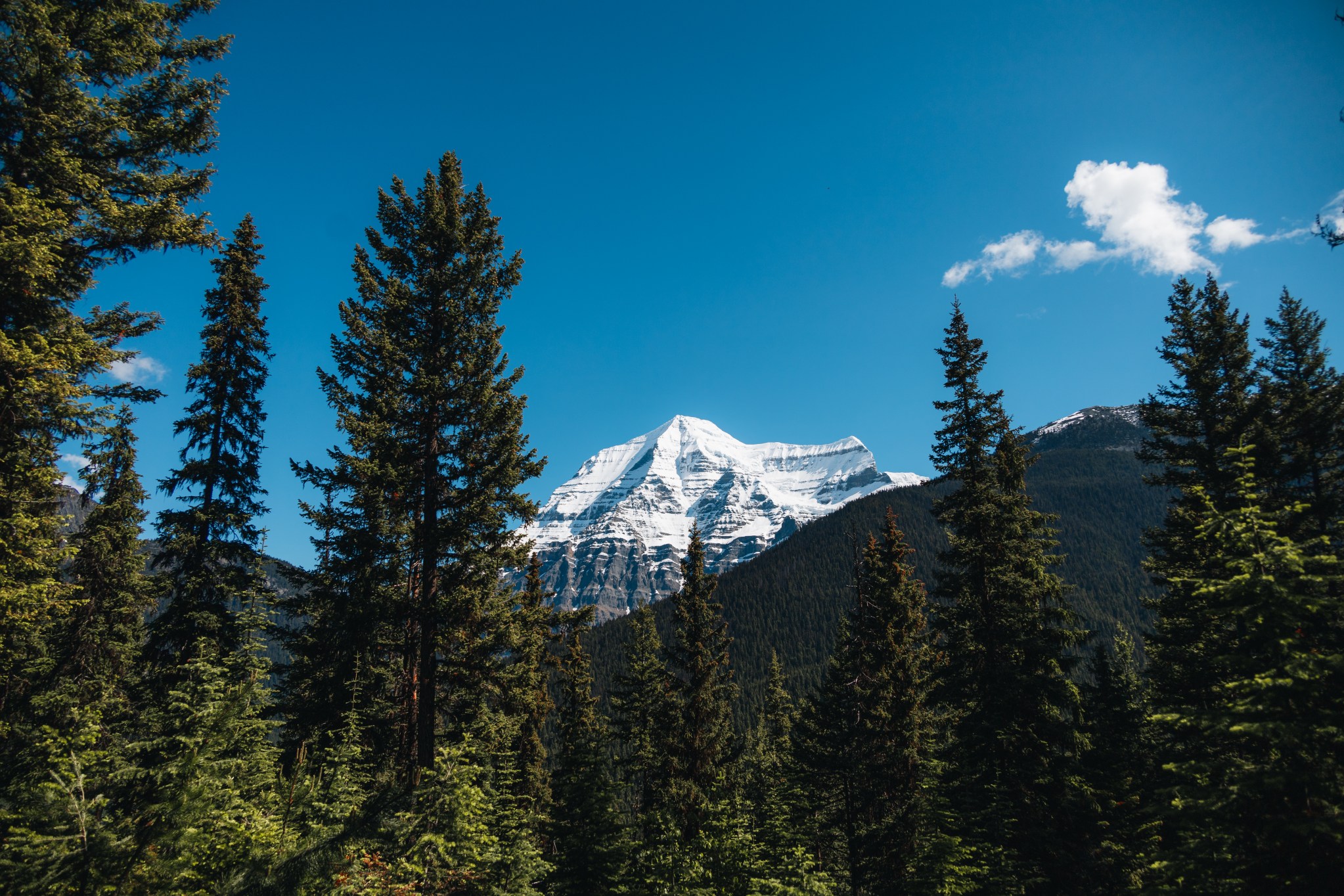Mooiste hikes in Mount Robson Provincial Park – Reis inspiraties