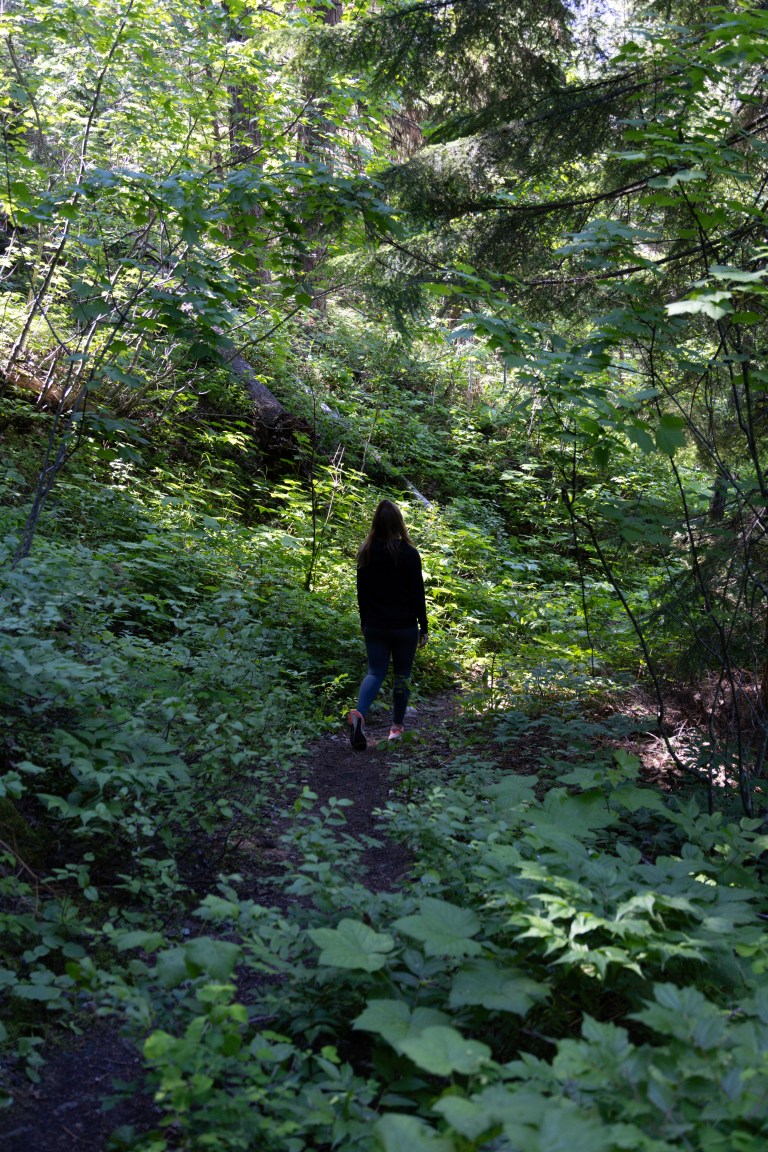 Mooiste hikes in Mount Robson Provincial Park – Reis inspiraties