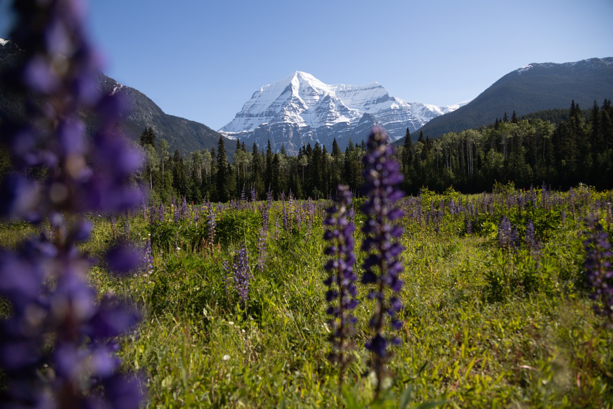 Mooiste hikes in Mount Robson Provincial Park – Reis inspiraties